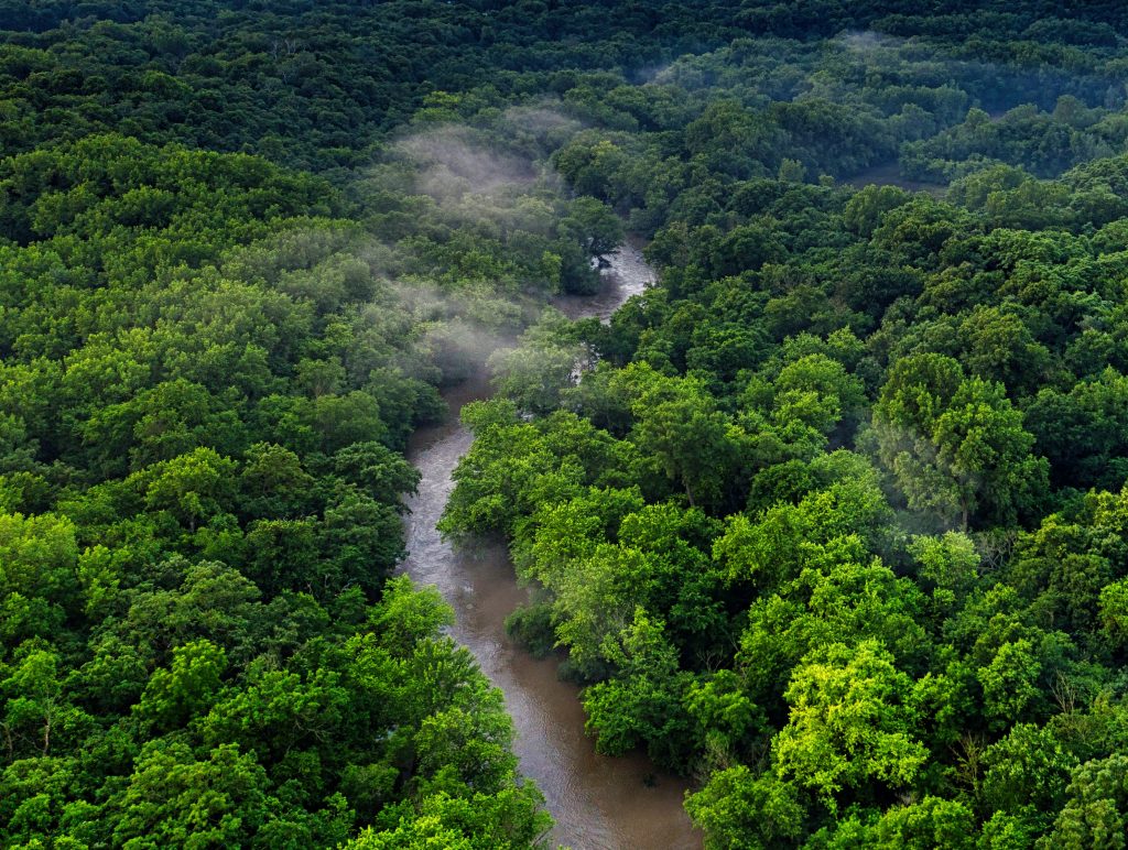 MISSION STATEMENT – Amazônia Fund Alliance Program